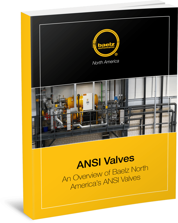ANSI Valves eBook | Baelz N.A. | Baelz North America